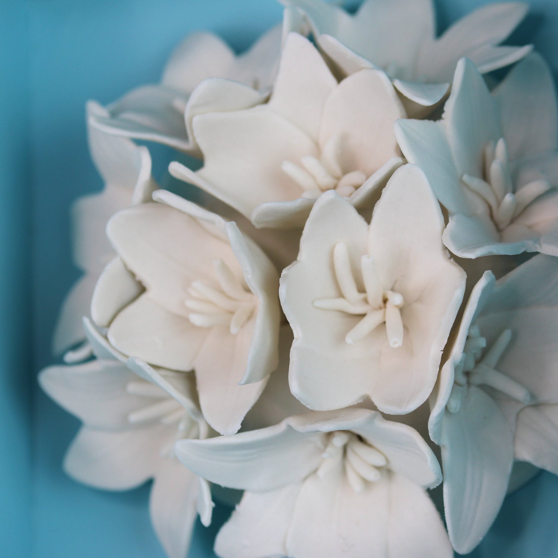 Ardmore Pottery & Gallery: The best in Irish Pottery, Craft and Design